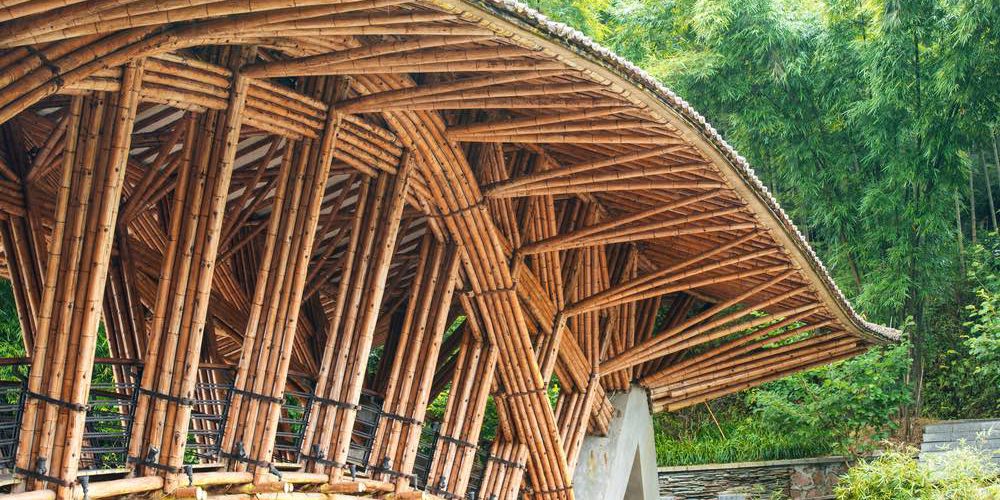 Manual online para construir con bambú – ZIS Perú
